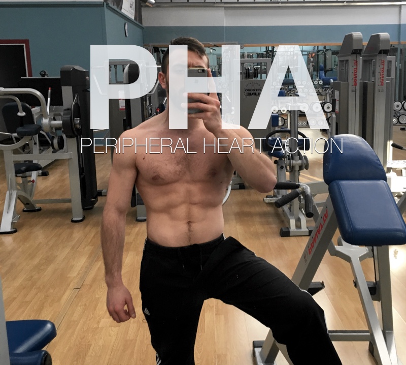 PHA - due tipologie per due applicazioni - Fit Planet Parma